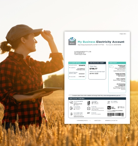 Business - Ergon Energy