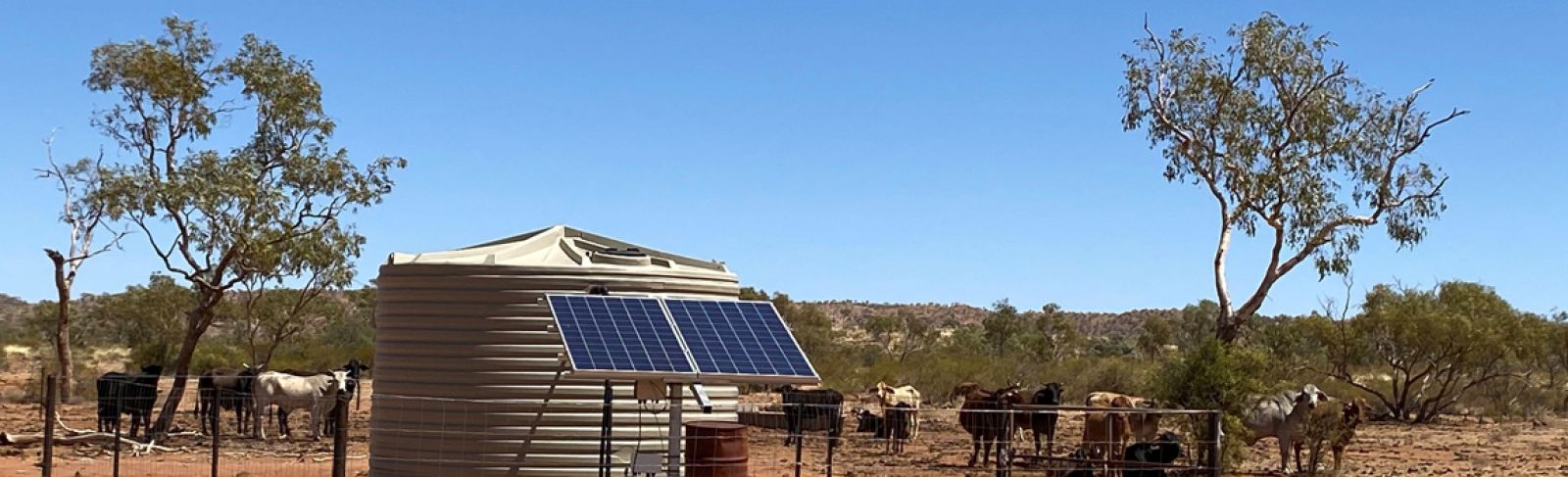 Solar pump program | Ergon Energy